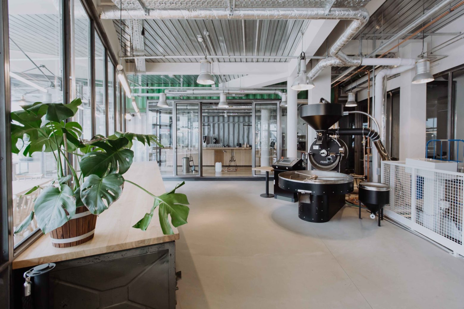 19 grams – The Way to Coffee – Specialty Coffee Blog